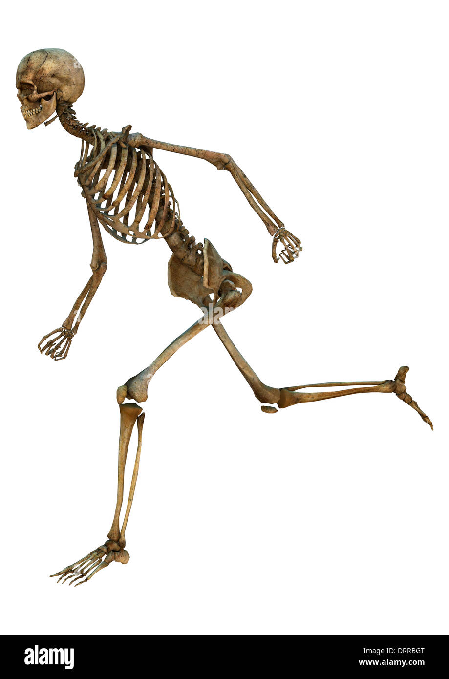 3D digital render of an old running human skeleton isolated on white ...