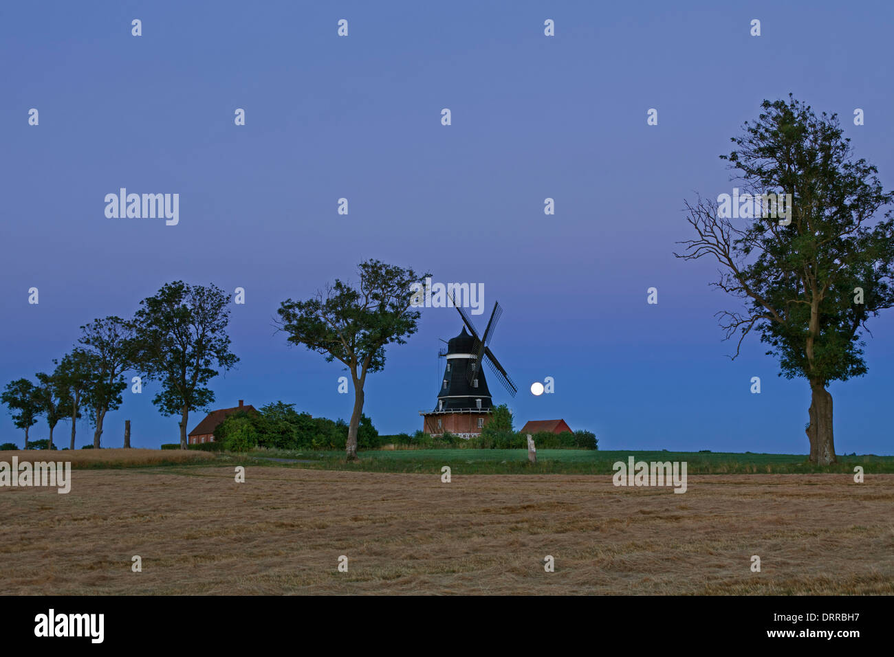 Traditional windmill in field at full moon, Krageholm, Skåne / Scania ...