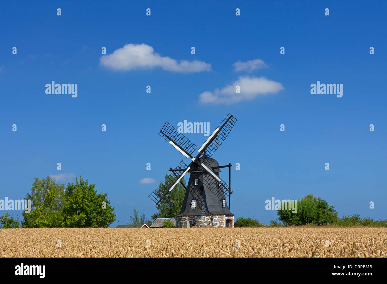 Windmill wheat field hi-res stock photography and images - Alamy