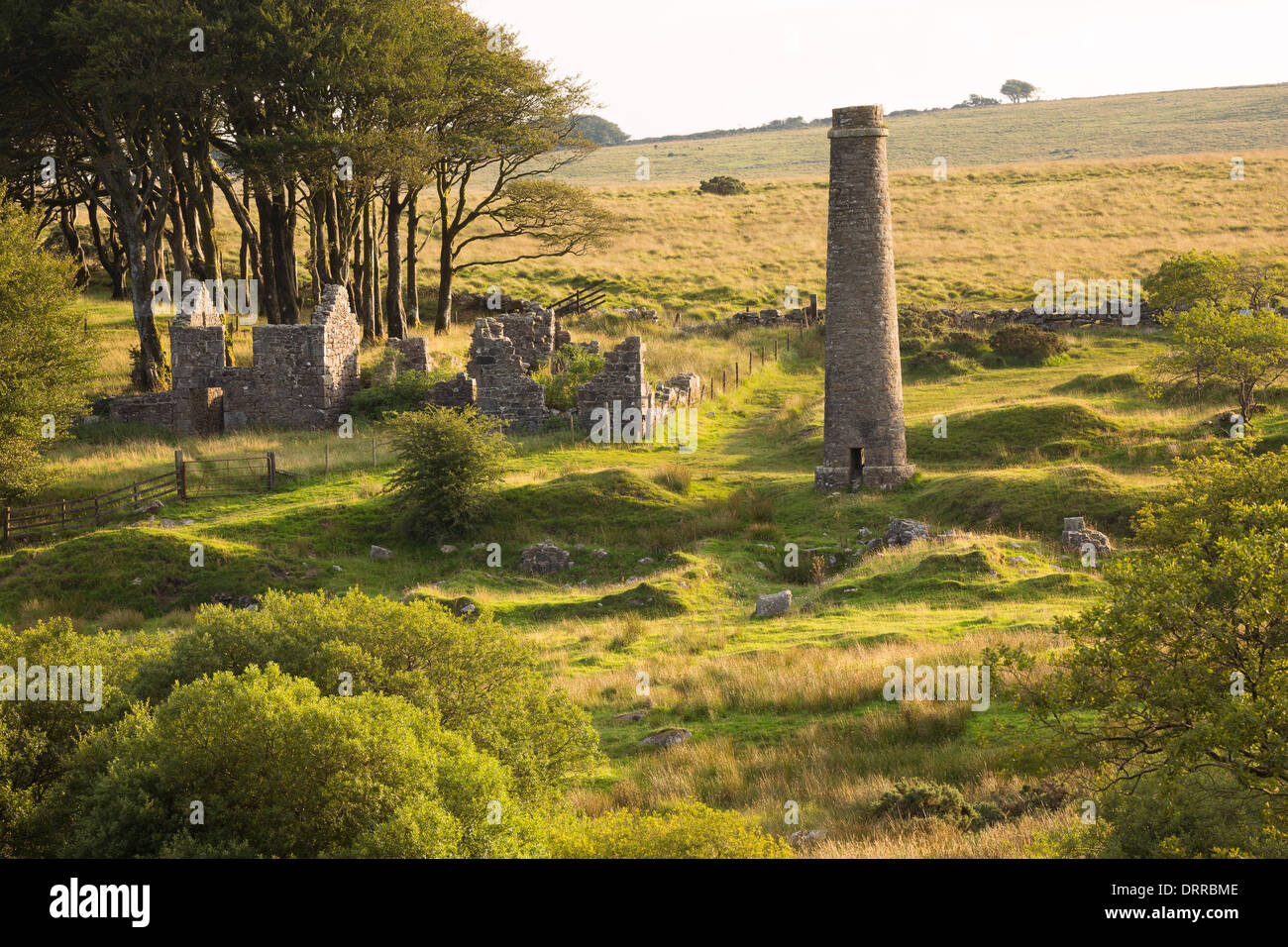 Powdermills 19th century derelict gunpowder factory Dartmoor national ...