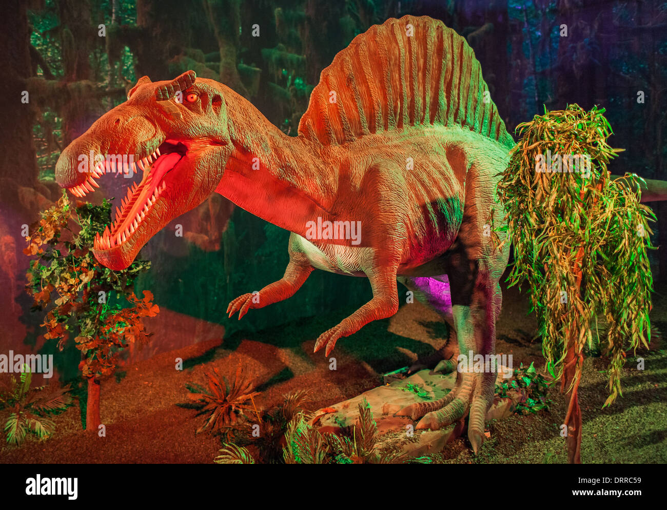 Dinosaur era hi-res stock photography and images - Alamy