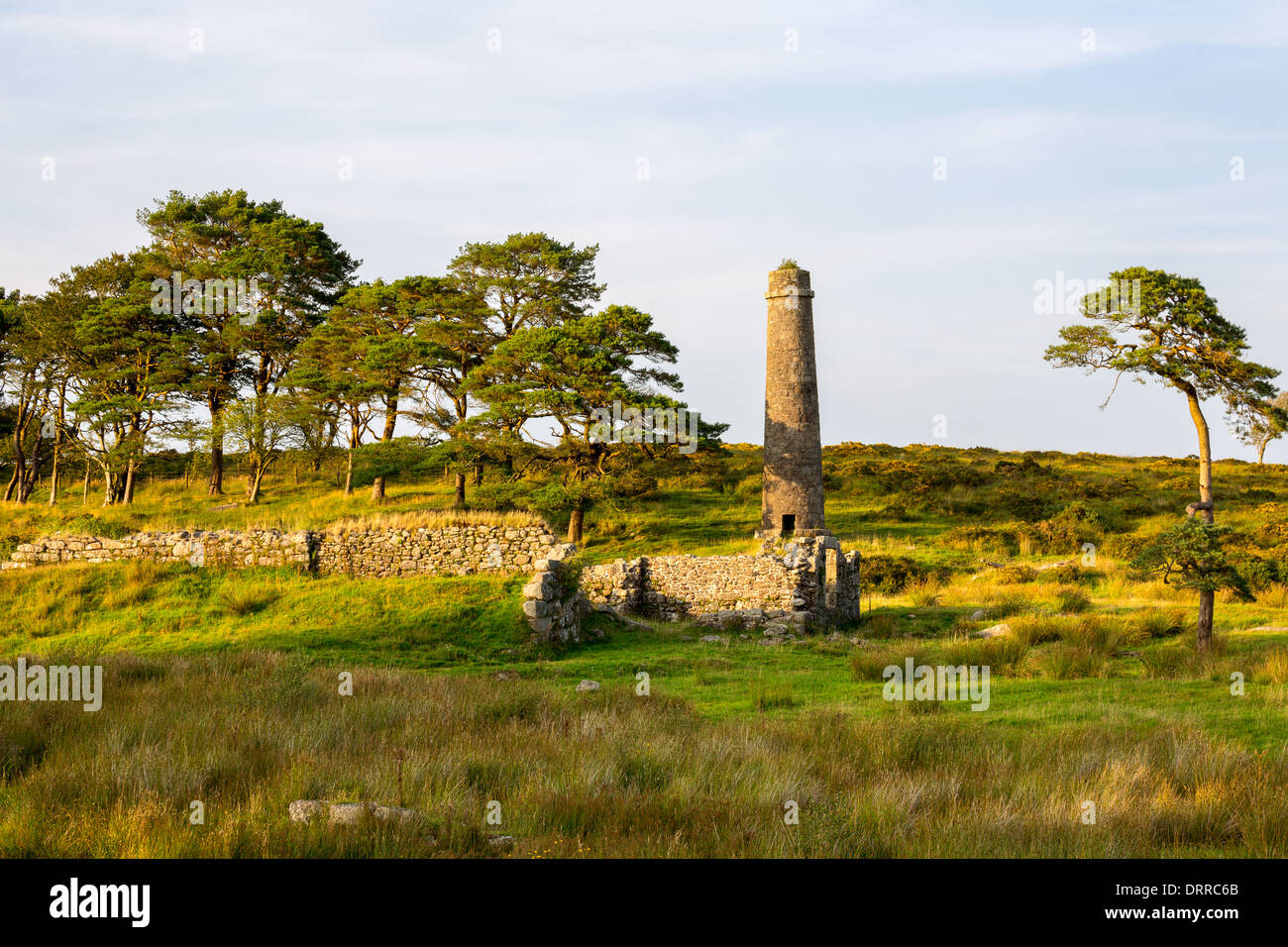 Powdermills 19th century derelict gunpowder factory Dartmoor national ...