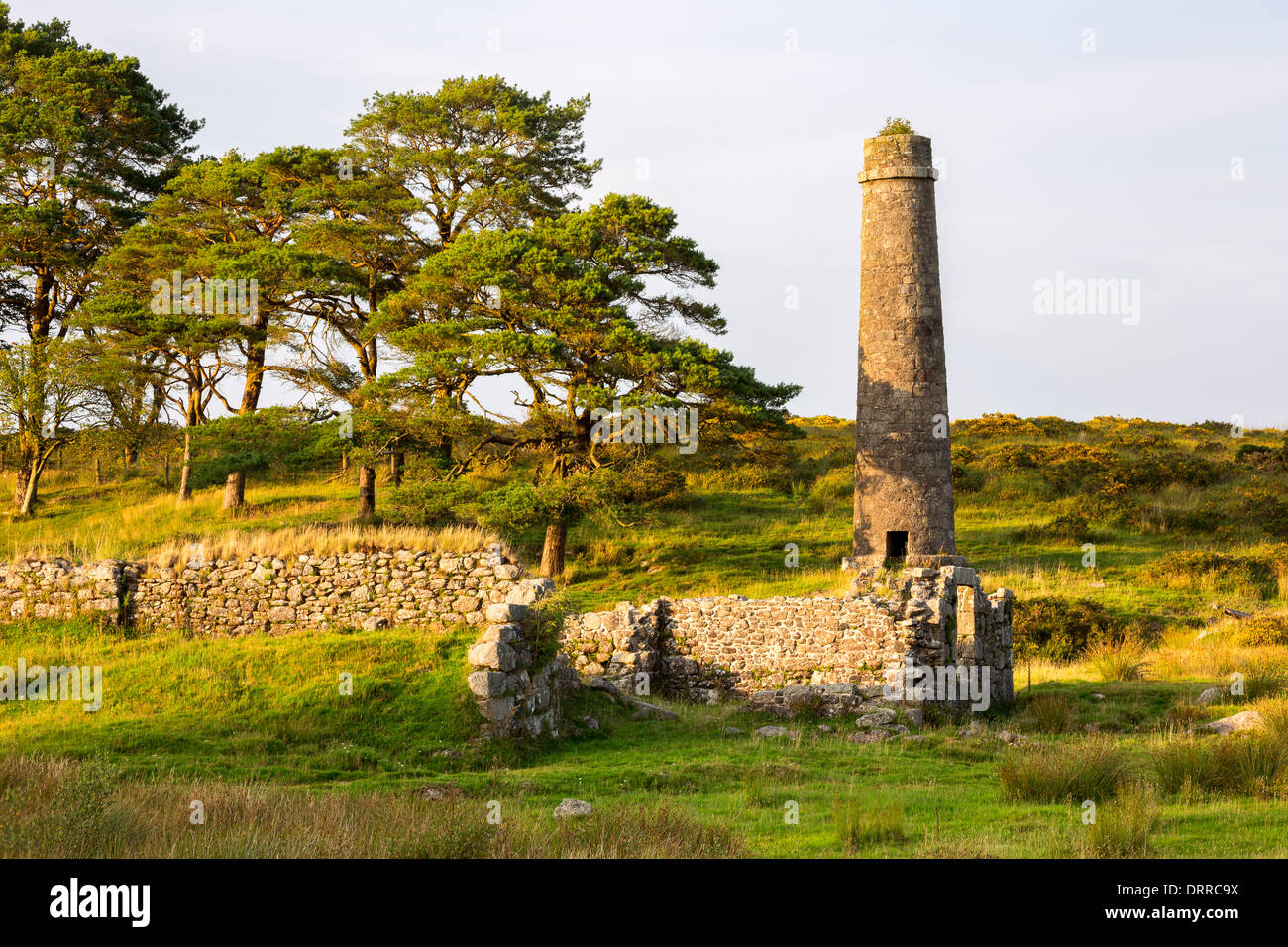 Powdermills 19th century derelict gunpowder factory Dartmoor national ...