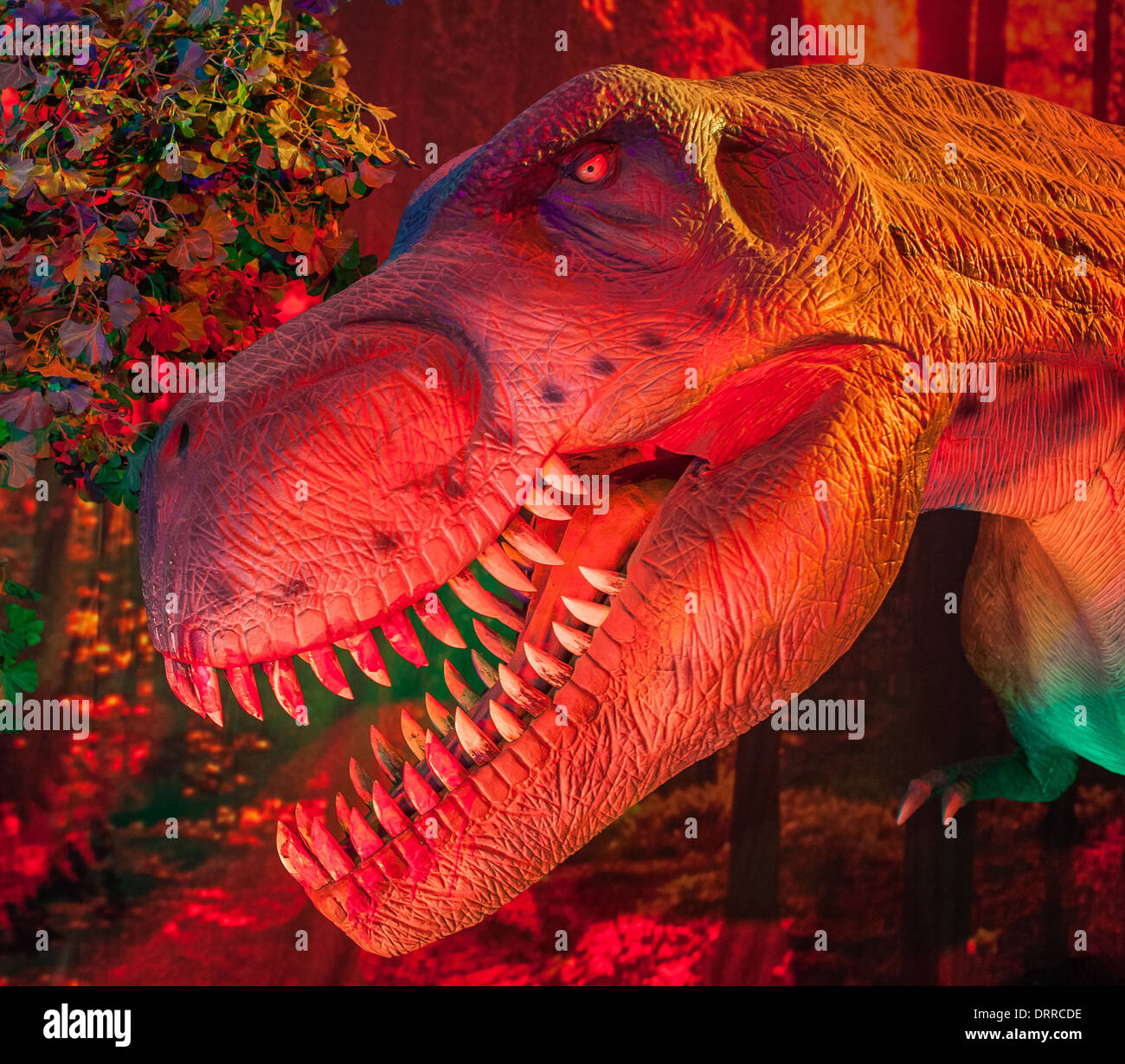 Paleozoic era hi-res stock photography and images - Alamy