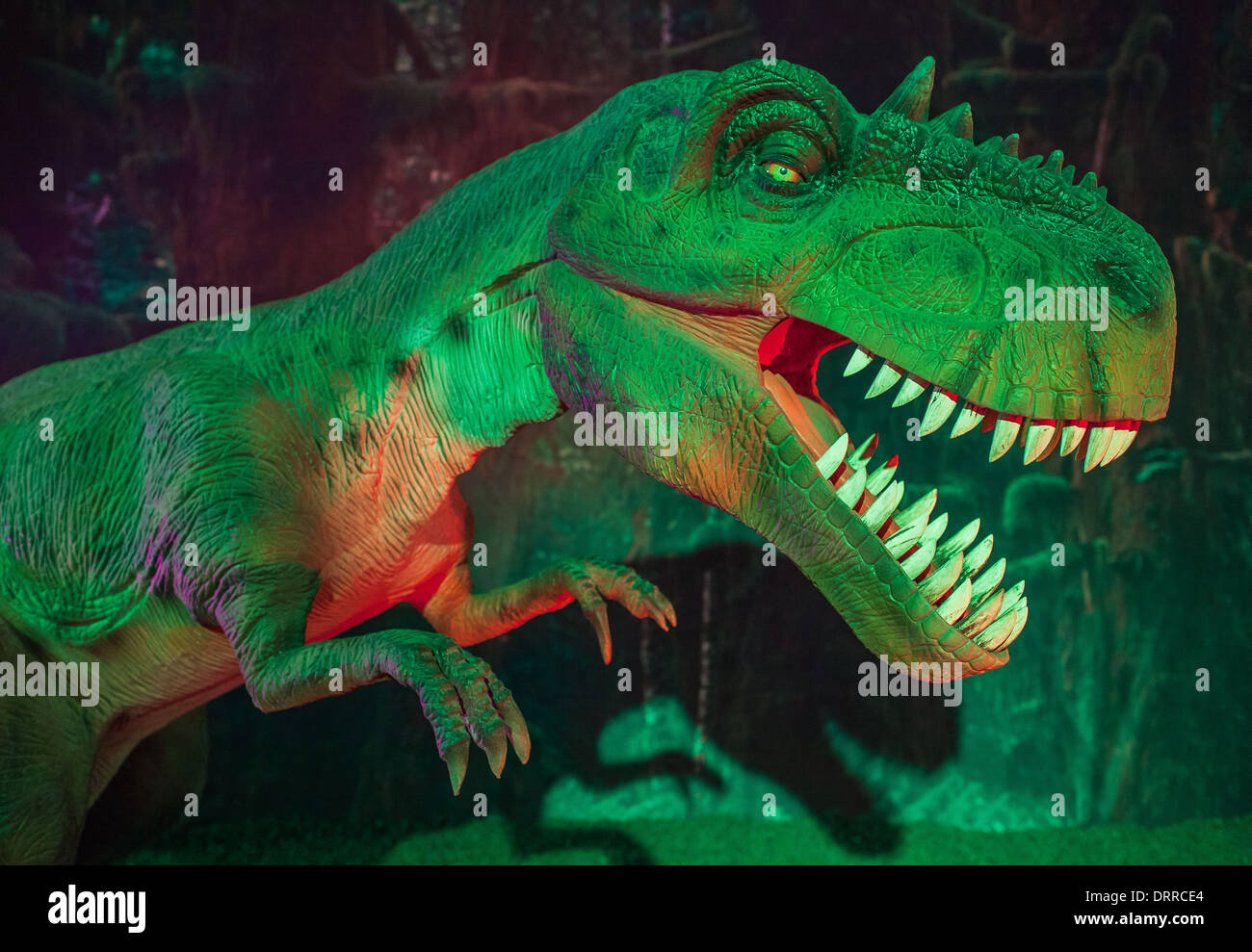 Large model hi-res stock photography and images - Alamy