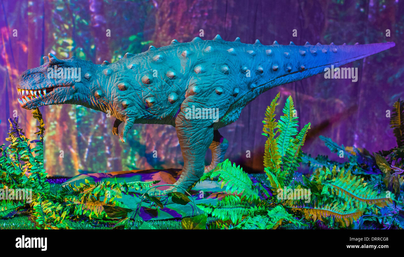 A large model hi-res stock photography and images - Alamy