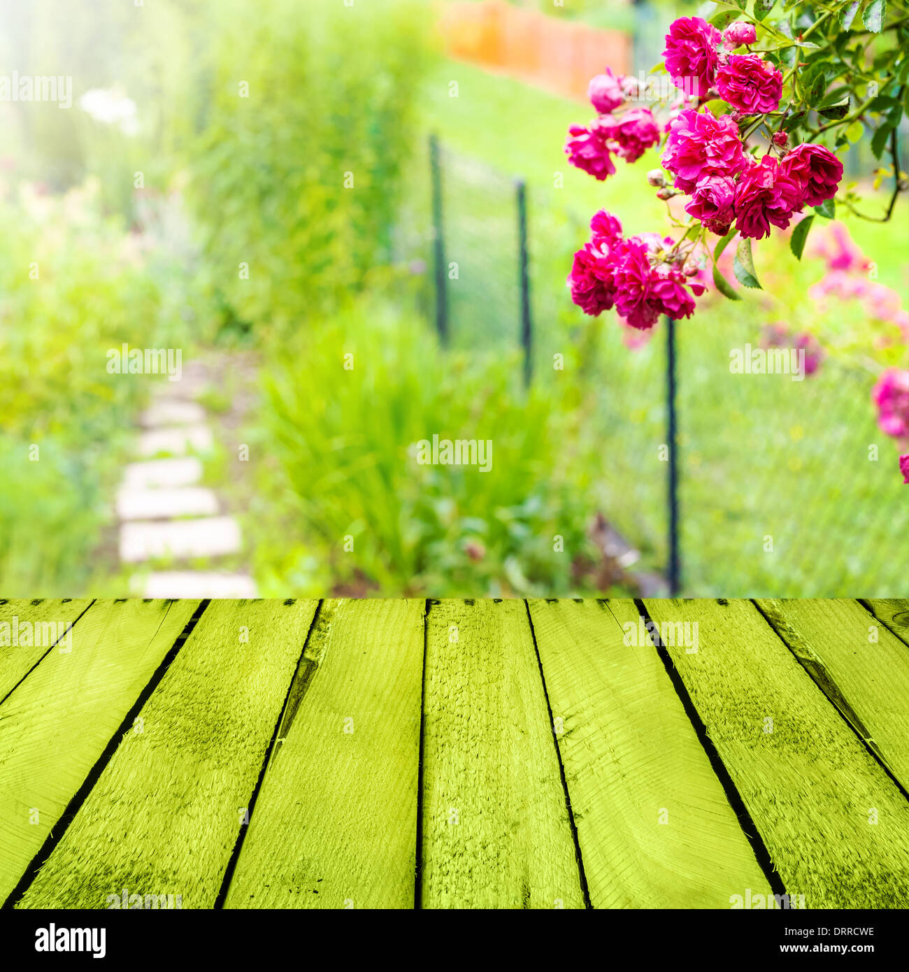 Spring background with a small garden and a wooden panel Stock Photo ...