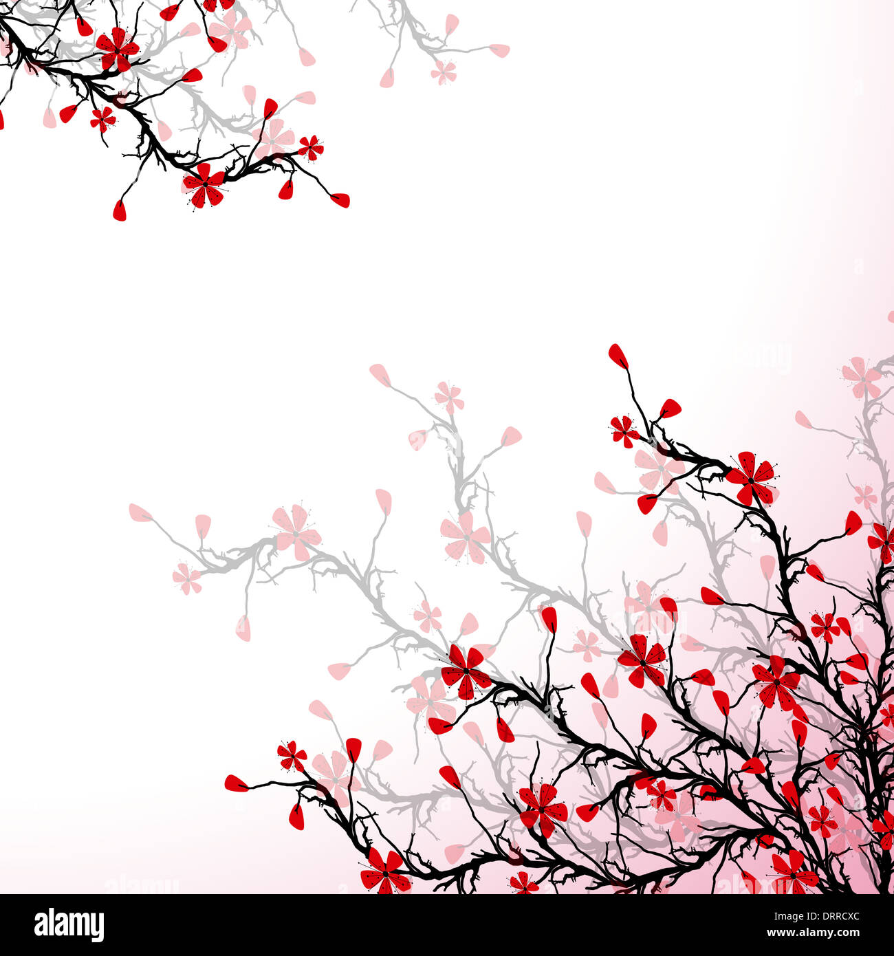 Wallpaper cherry hi-res stock photography and images - Alamy