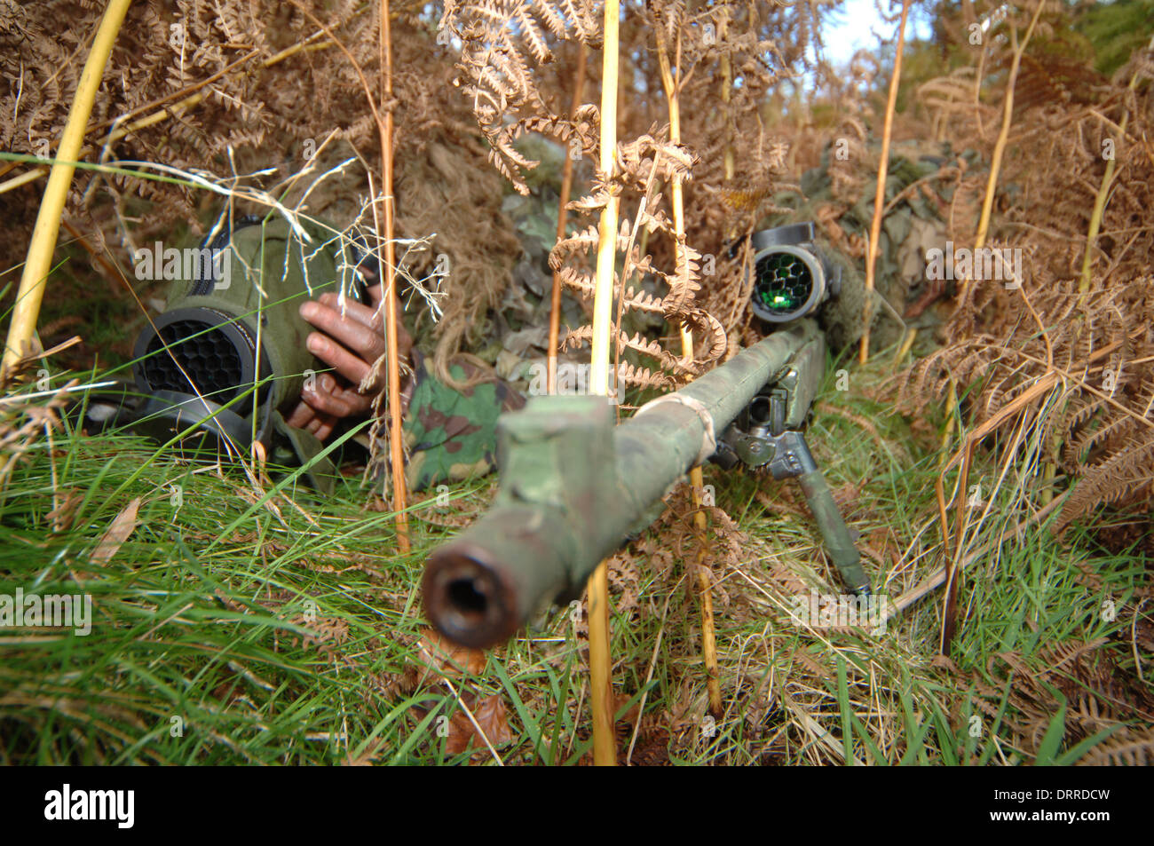 British army sniper team with his L115A3 sniper rifle, training in ...