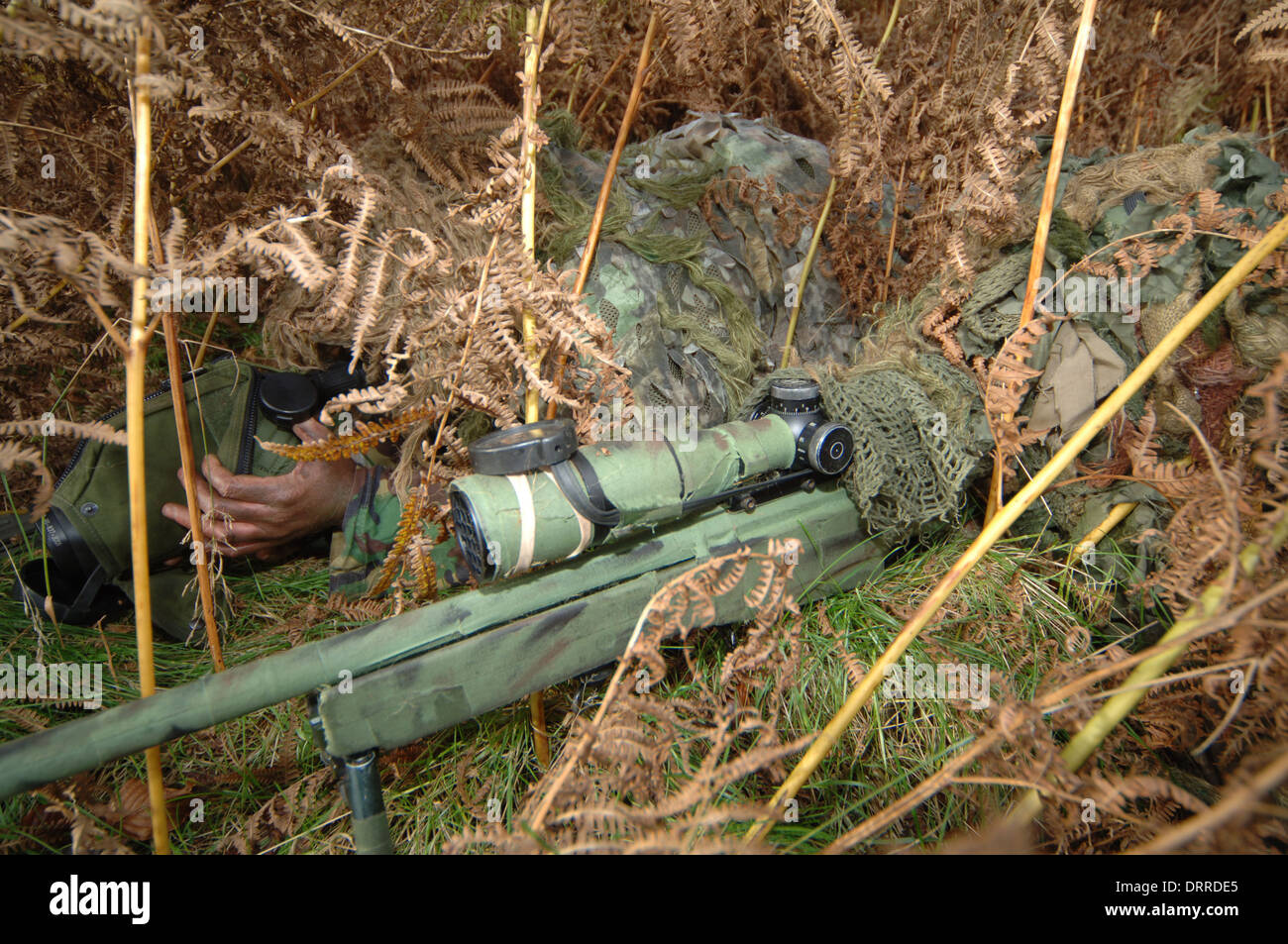 British army sniper spotter spotter hi-res stock photography and images ...