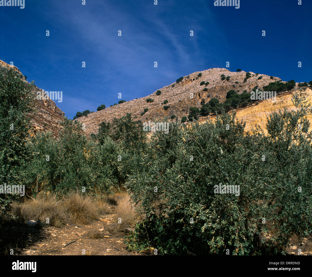 Galilee Region Israel The Hill Of Precipitation Important Place In The ...