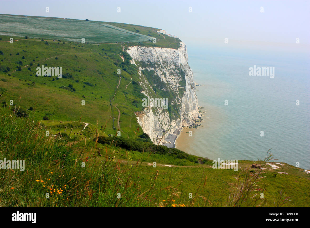 A landscape image of the White Cliffs of Dover Stock Photo - Alamy