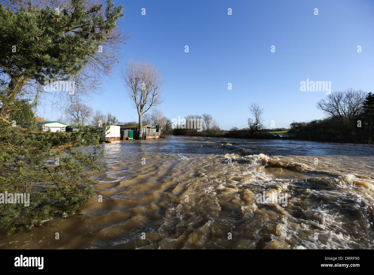 River nene in flood hi-res stock photography and images - Alamy