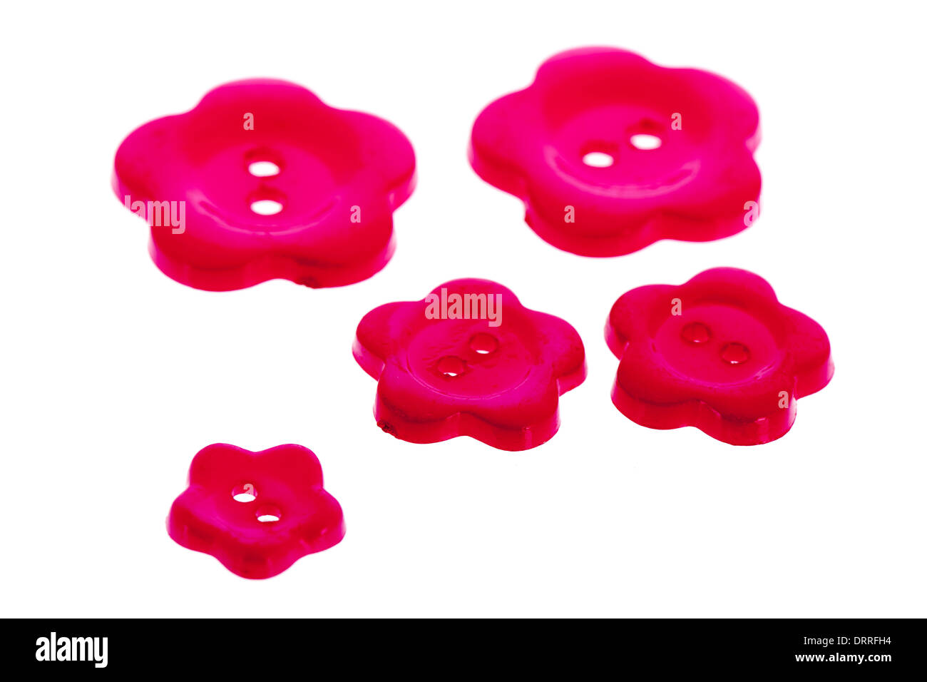 Several pink buttons in flower shape isolated over white background ...