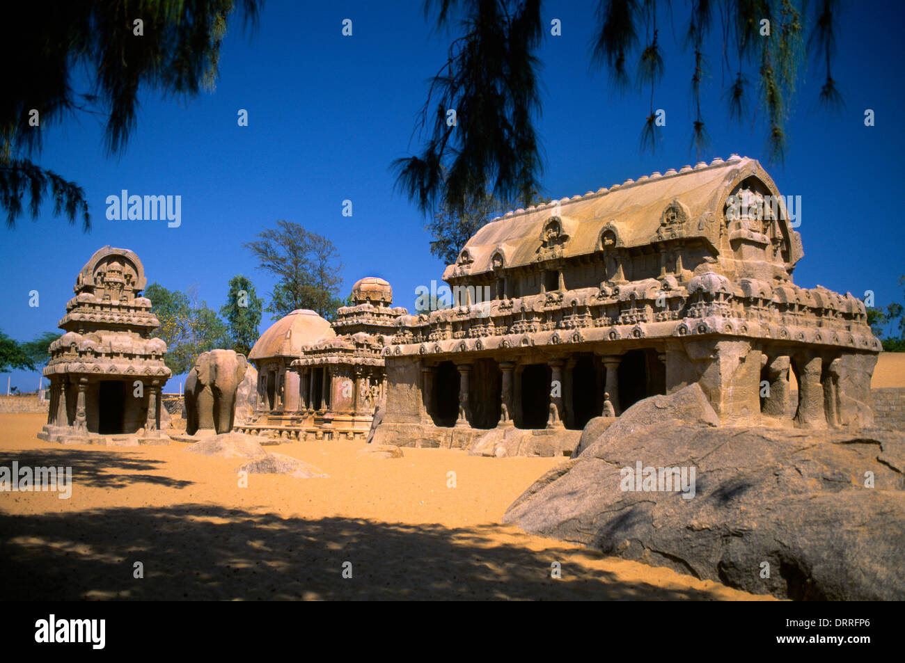 Pallavan hi-res stock photography and images - Alamy