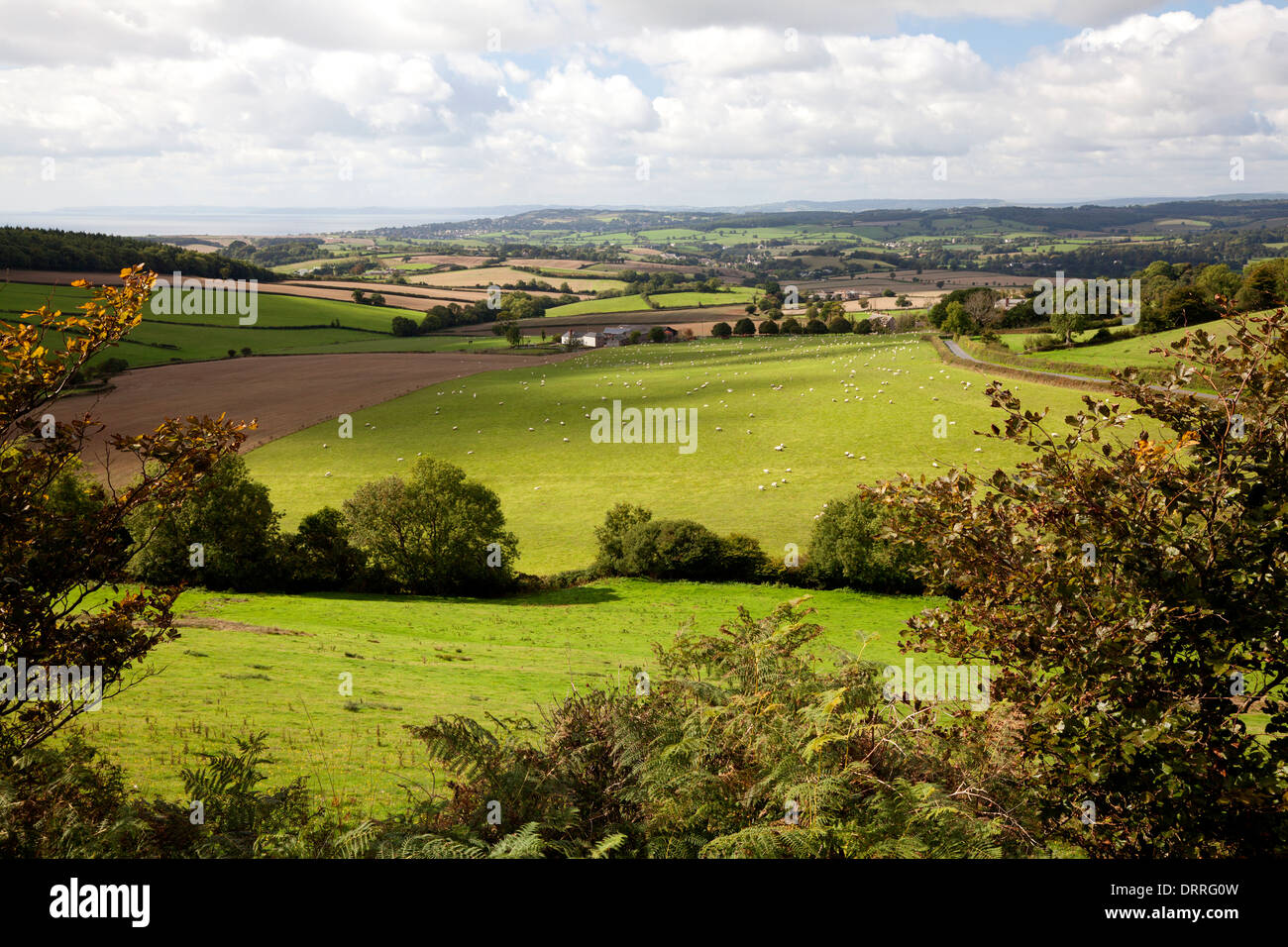 Rural view towards Otterton, Sidmouth, Devon Stock Photo - Alamy