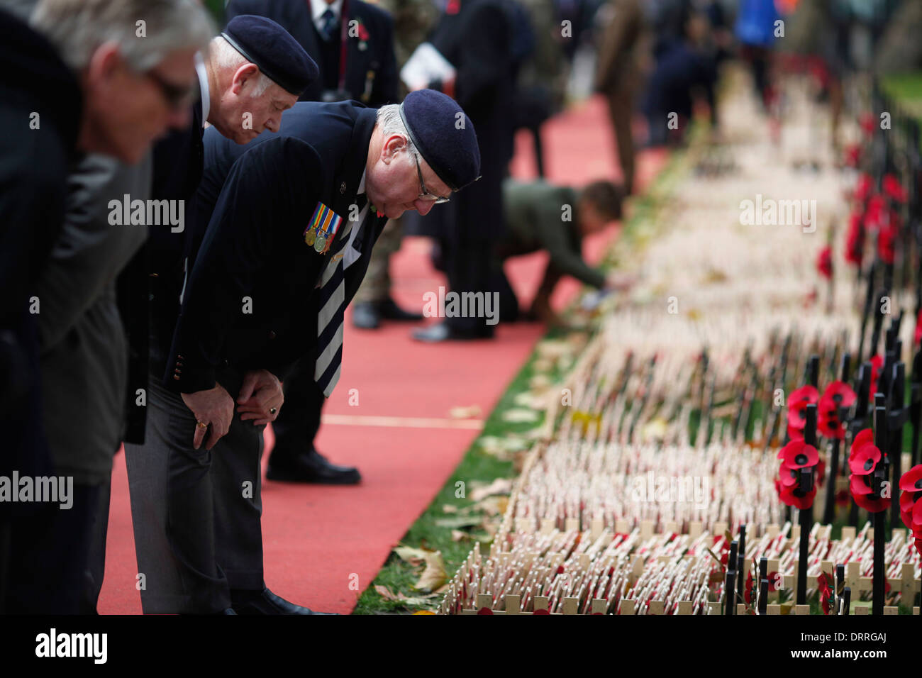 Remembrance crosses cross British soldier war Stock Photo - Alamy