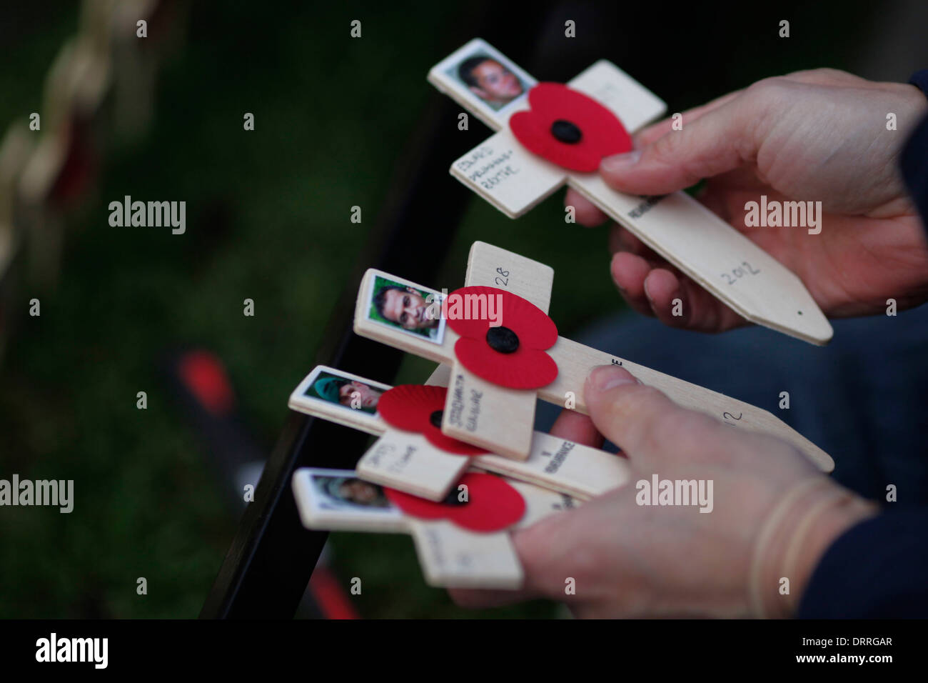 Remembrance crosses cross British soldier war Stock Photo - Alamy