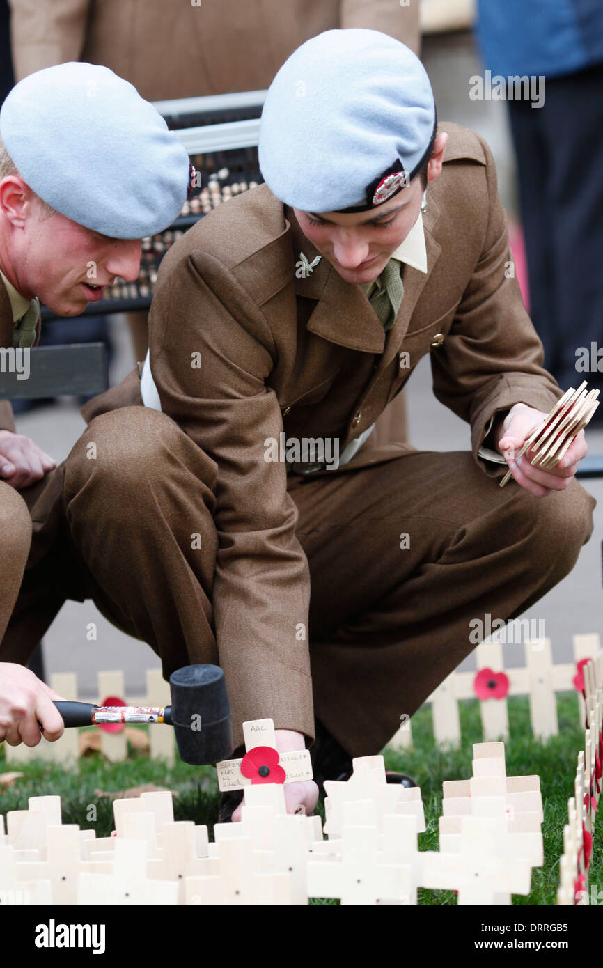 Remembrance crosses cross British soldier war Stock Photo - Alamy