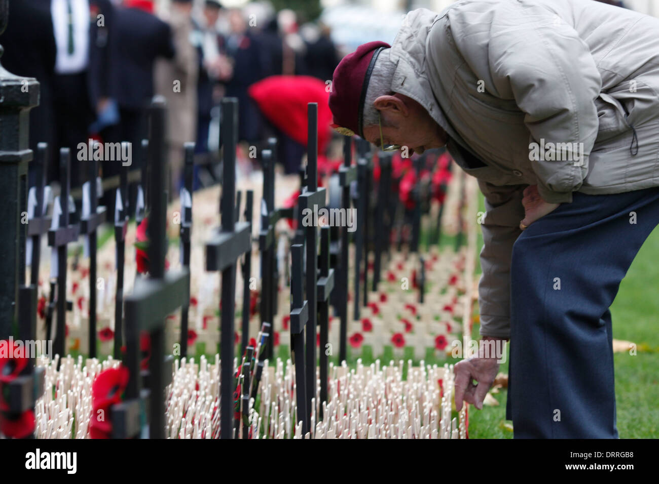 Remembrance crosses cross British soldier war Stock Photo - Alamy
