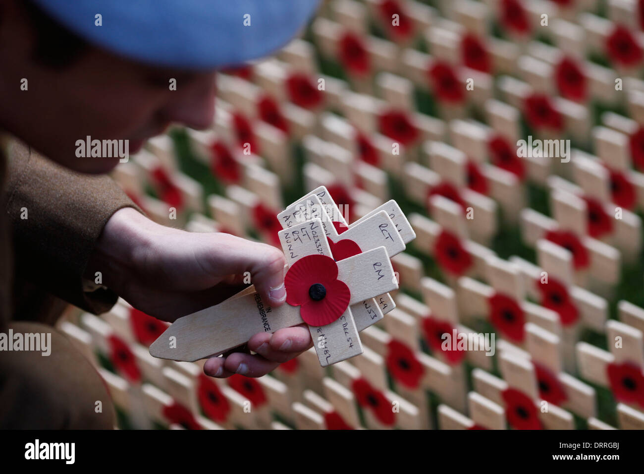 Remembrance crosses cross British soldier war Stock Photo - Alamy