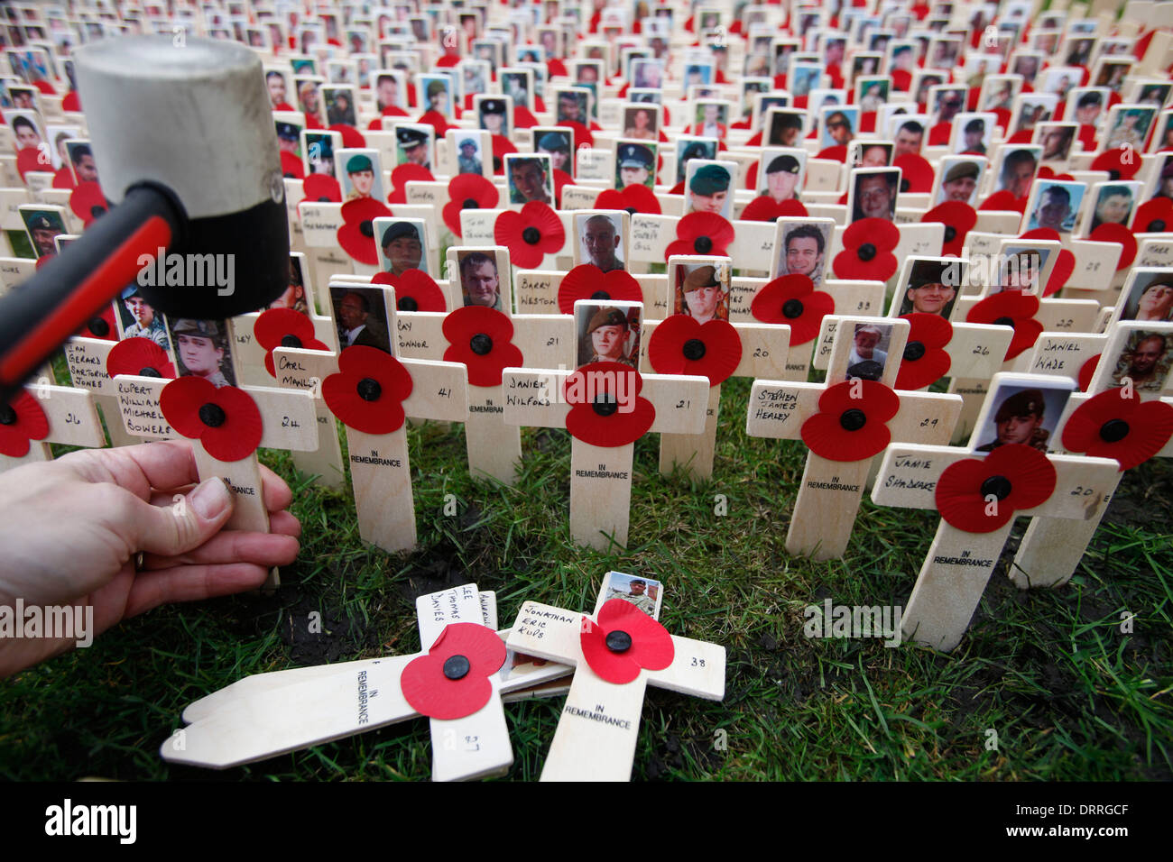 Remembrance crosses cross British soldier war Stock Photo - Alamy