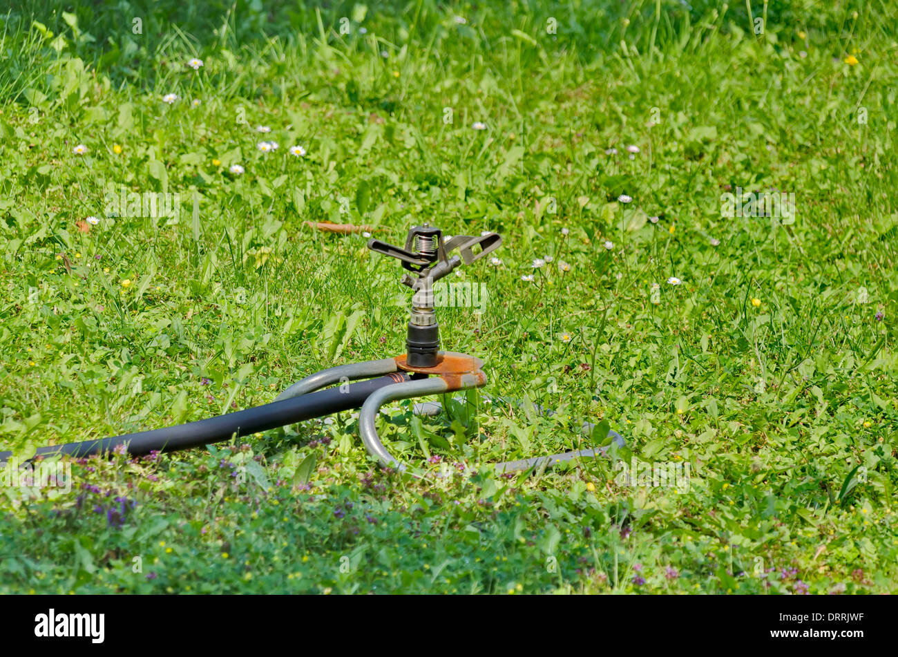Automatic sprinkler hi-res stock photography and images - Alamy