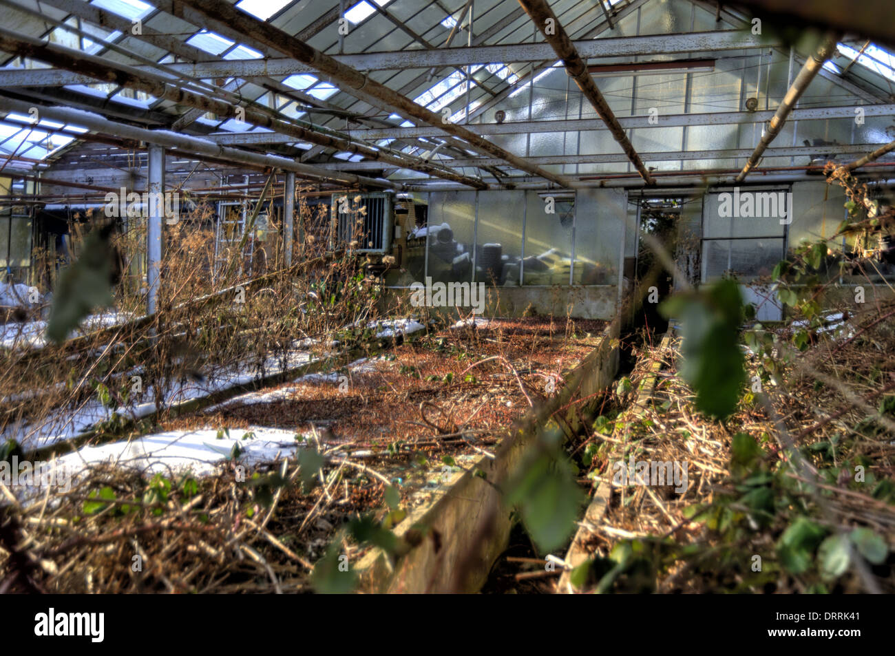 Destroyed greenhouse hi-res stock photography and images - Alamy