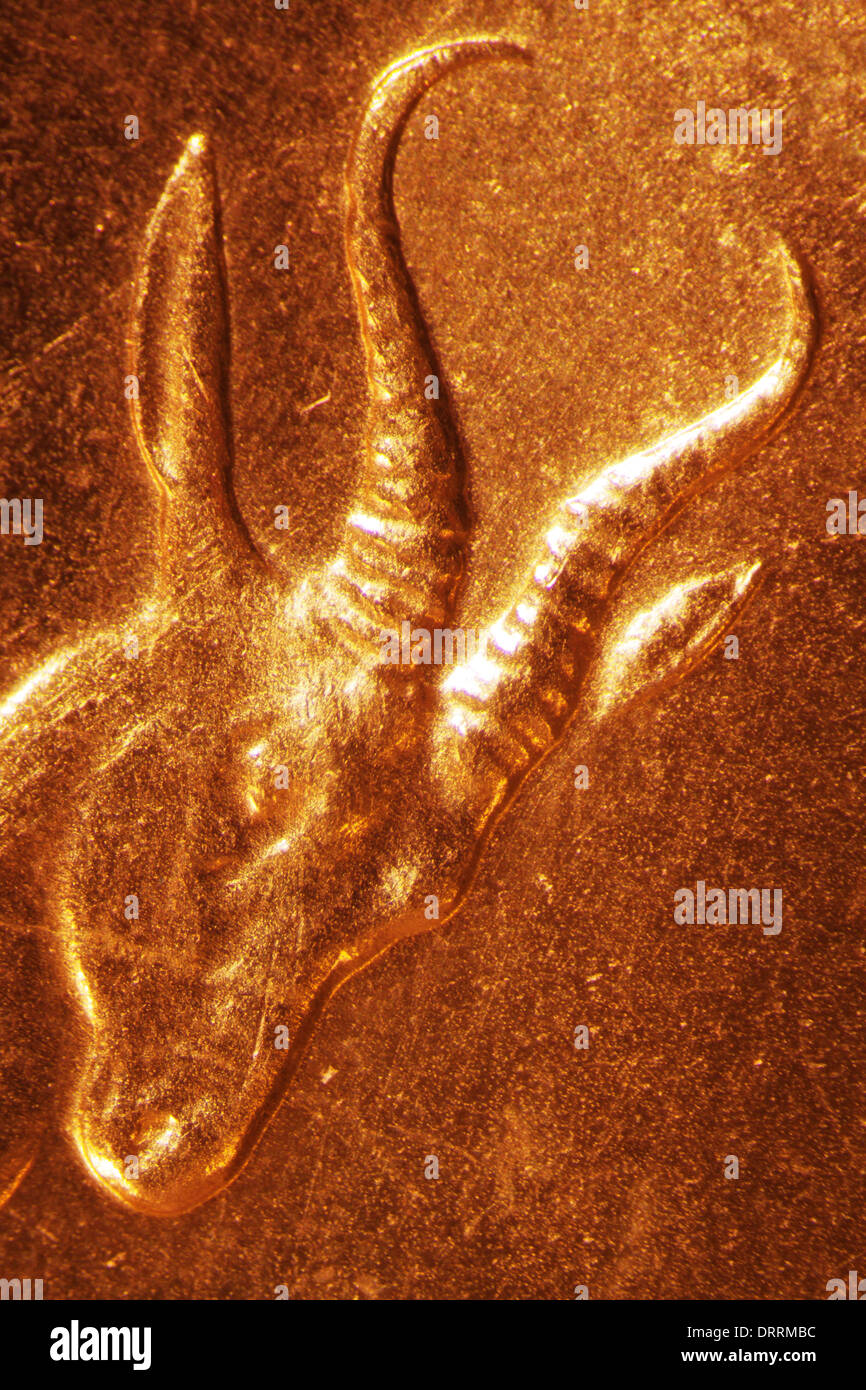 Micro Photo of a Gold Coin Stock Photo - Alamy