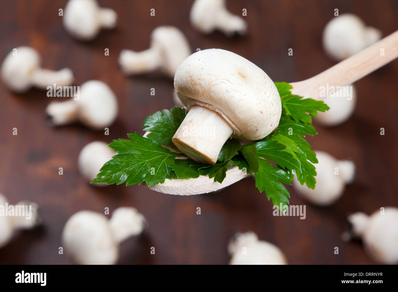 Close-up of champignons on a spoon Stock Photo - Alamy