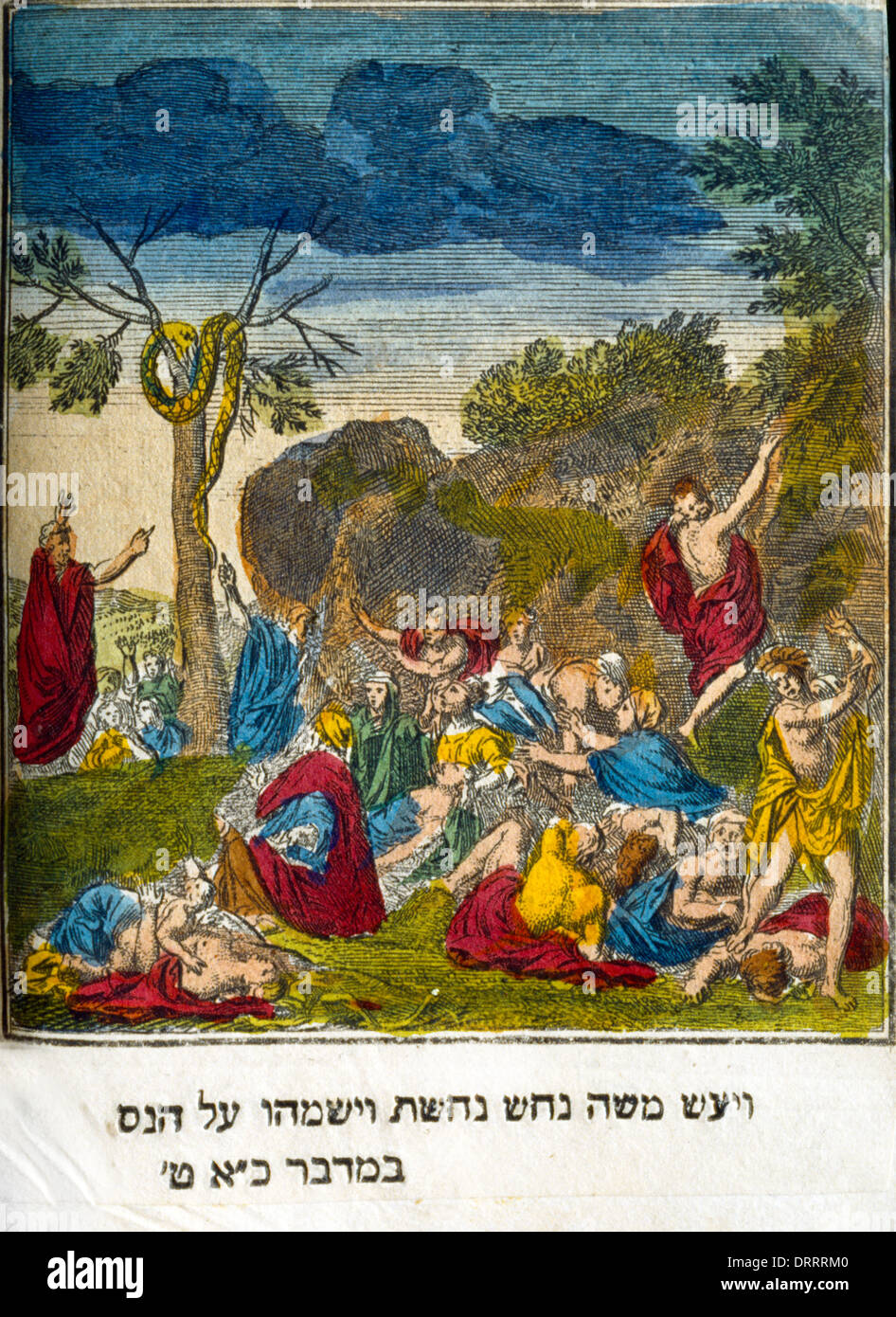 Israel The Copper Snake An Old Engraving Hand Painted (coper) Snake ...