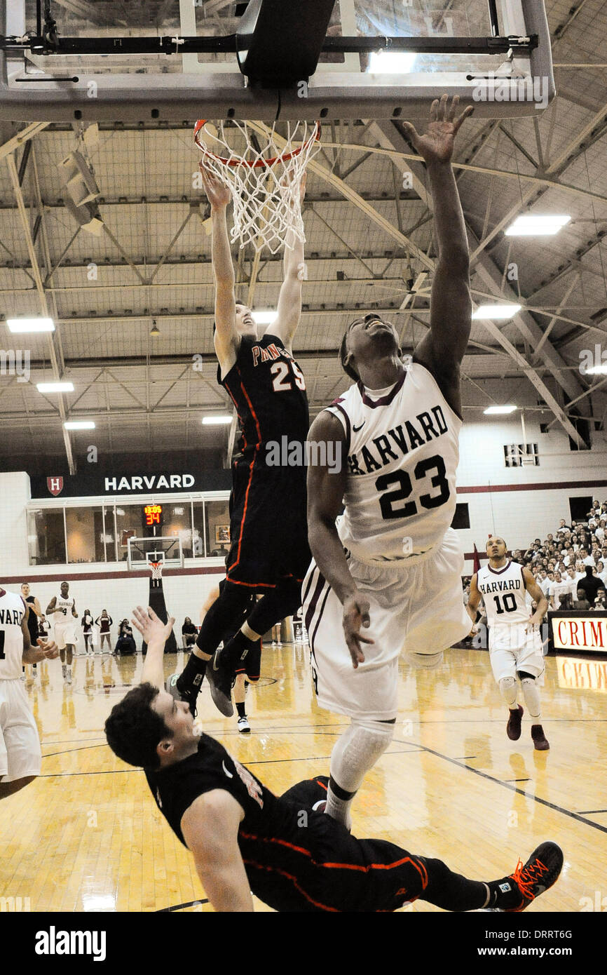 Steven cook hi-res stock photography and images - Alamy