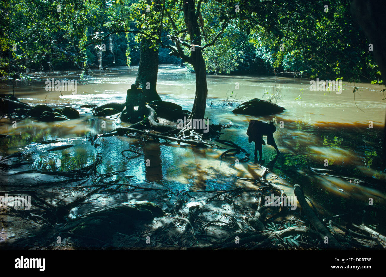 Nigeria Osun - Osogbo Sacred Grove Regarded As The Goddess Osun Abode ...