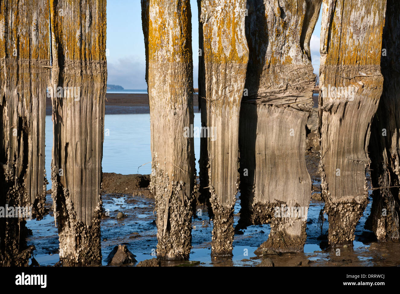 WASHINGTON - Remains of an old structure along the shores of Padilla ...