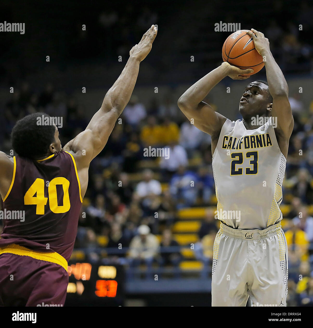 Jabari bird hi-res stock photography and images - Alamy