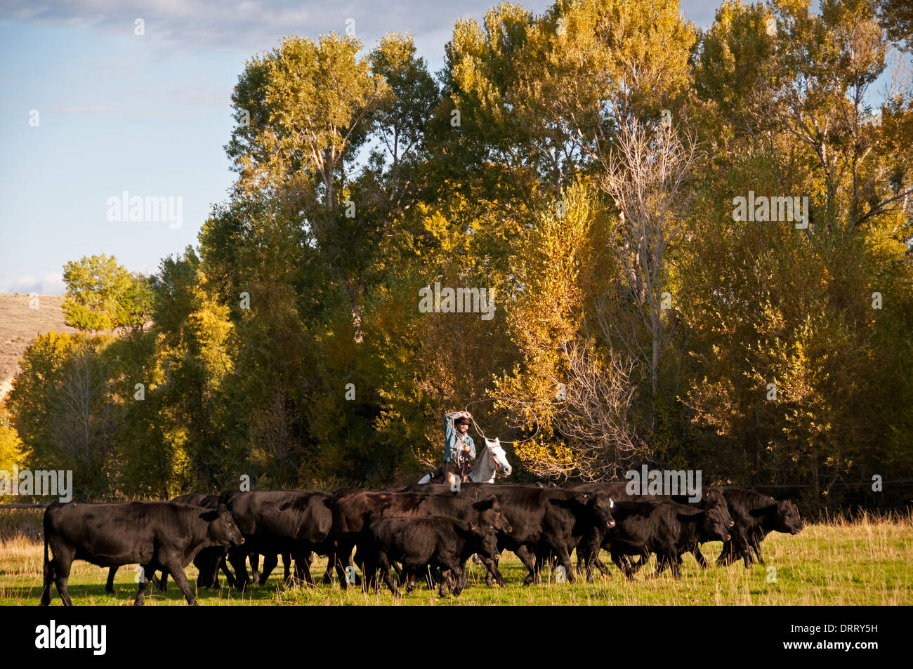 Hideout ranch hi-res stock photography and images - Alamy