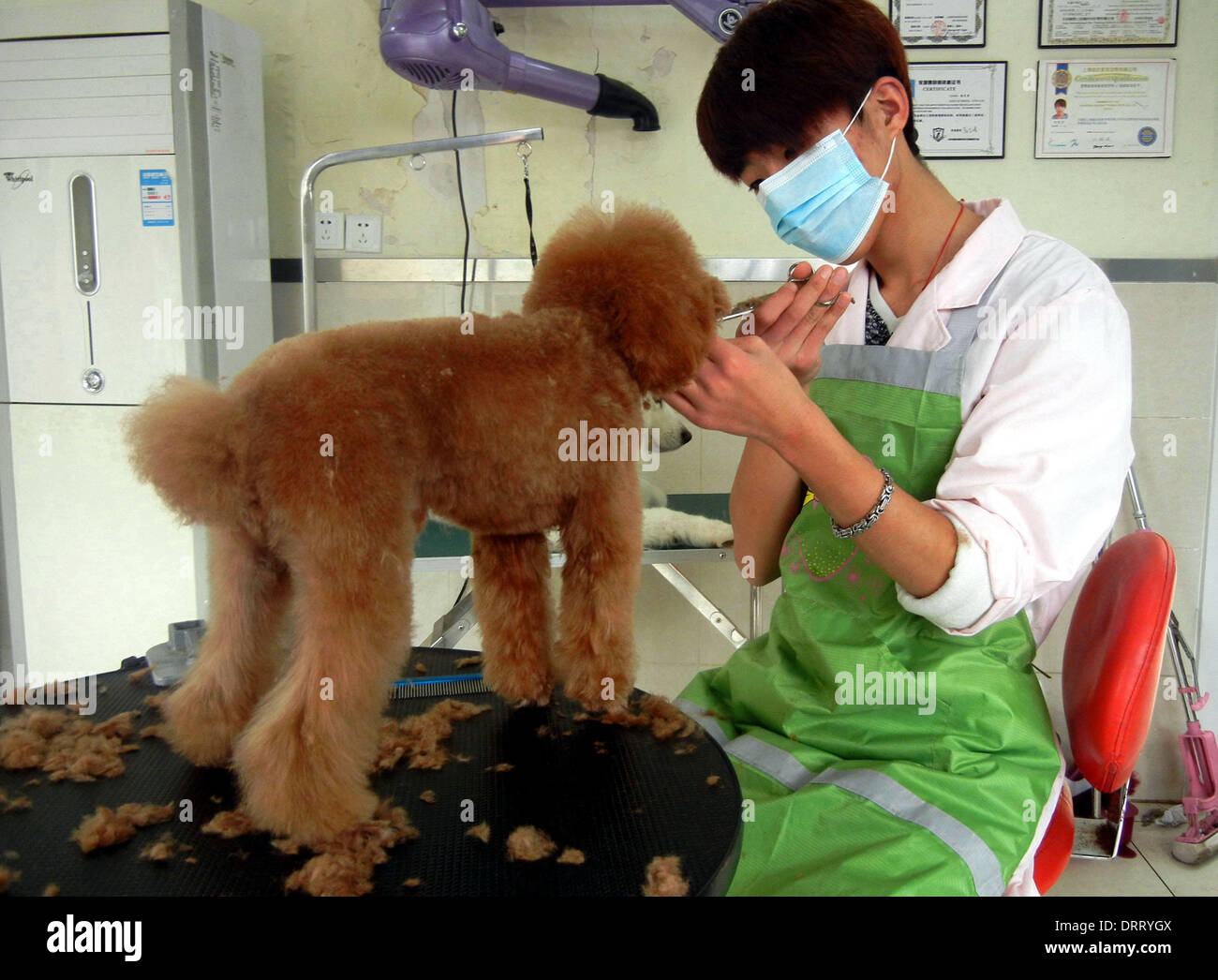 Suzhou, China's Jiangsu Province. 31st Jan, 2014. A staff member of a ...
