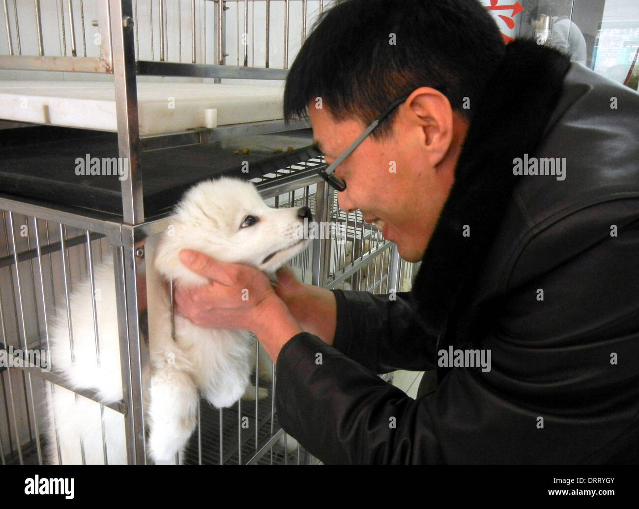 Goodbye dog hi-res stock photography and images - Alamy