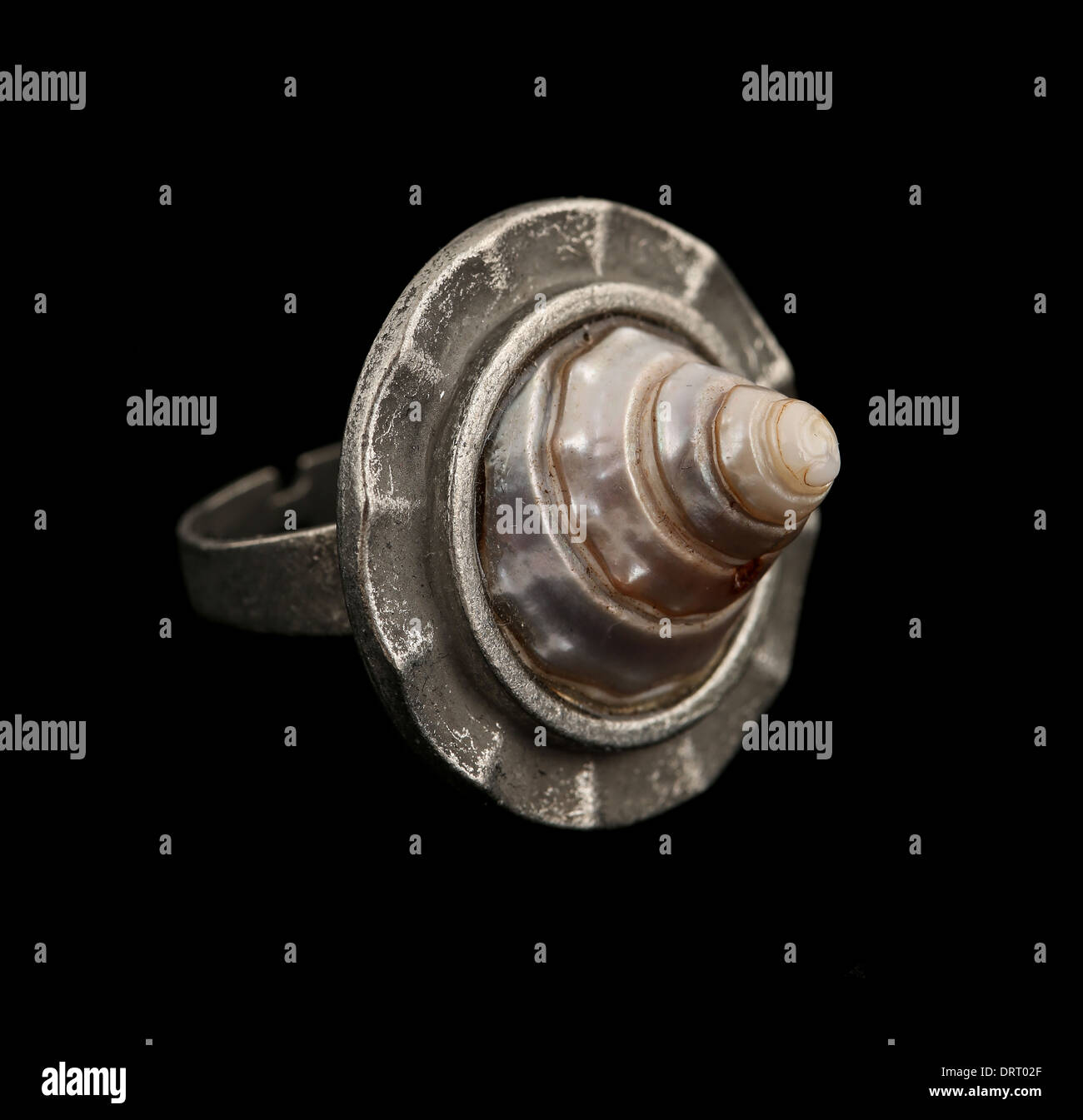 Shell ring hi-res stock photography and images - Alamy