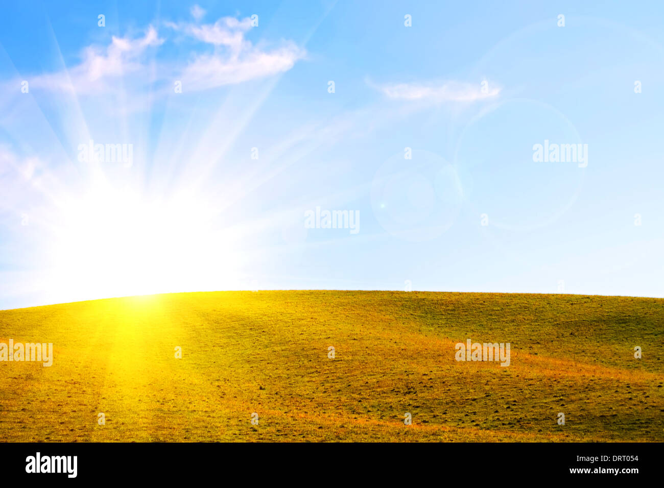 Flash field hi-res stock photography and images - Alamy