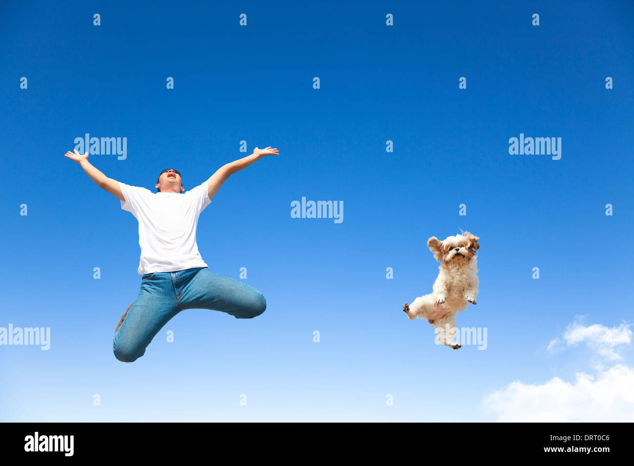 Dog jumping hi-res stock photography and images - Alamy
