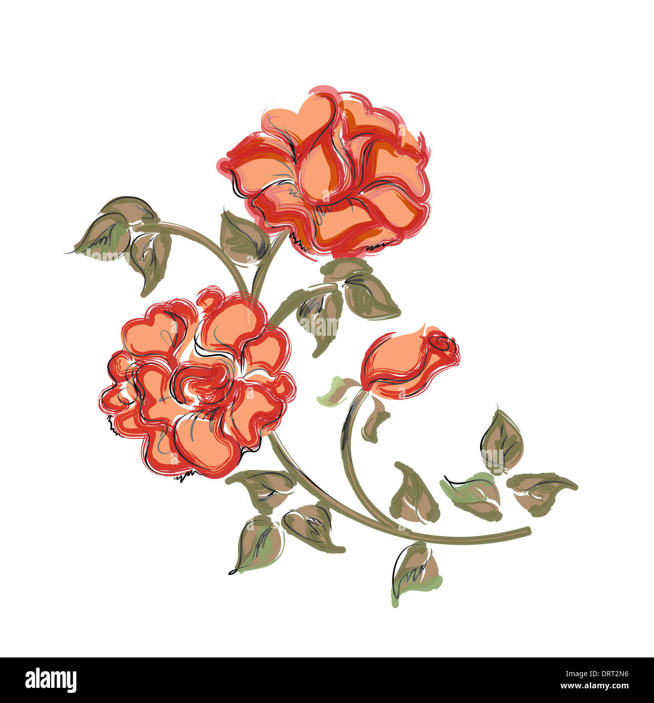 Hand drawn roses hi-res stock photography and images - Alamy