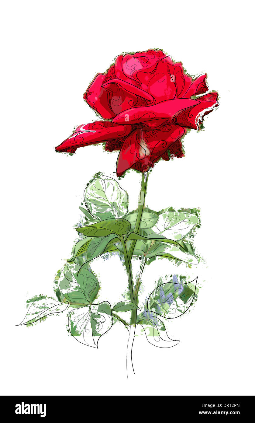 Red outline rose hi-res stock photography and images - Alamy