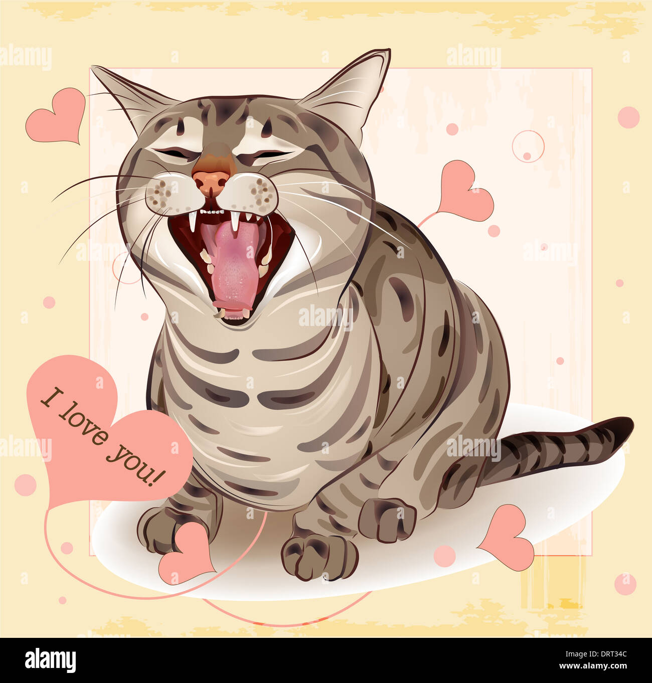 Cat in love. Greeting card Stock Photo - Alamy