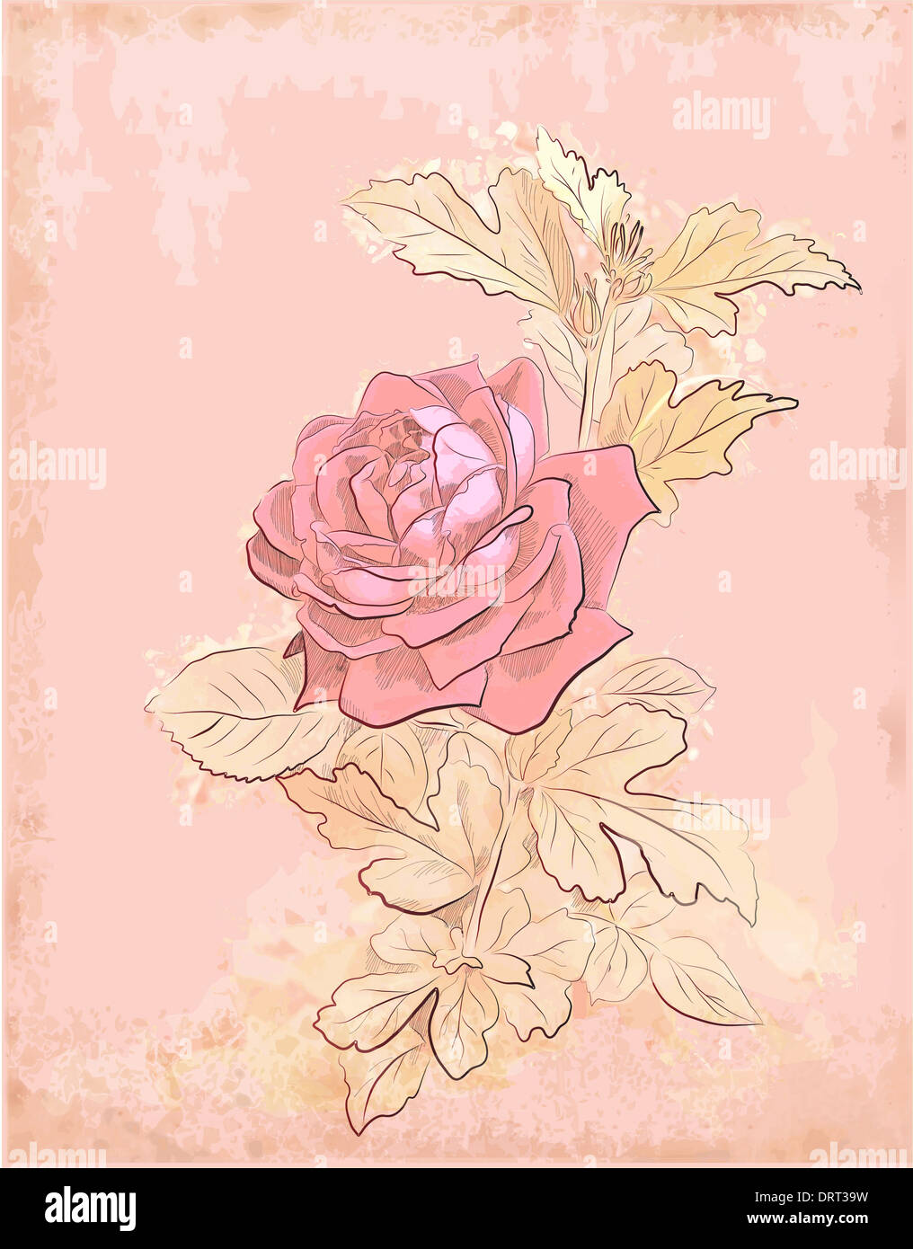 vintage red rose Stock Photo - Alamy