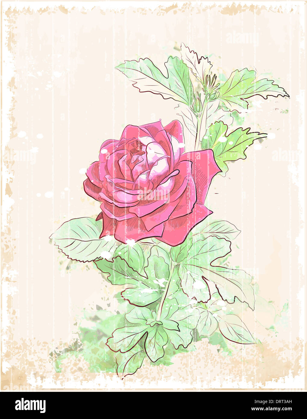 vintage red rose Stock Photo - Alamy
