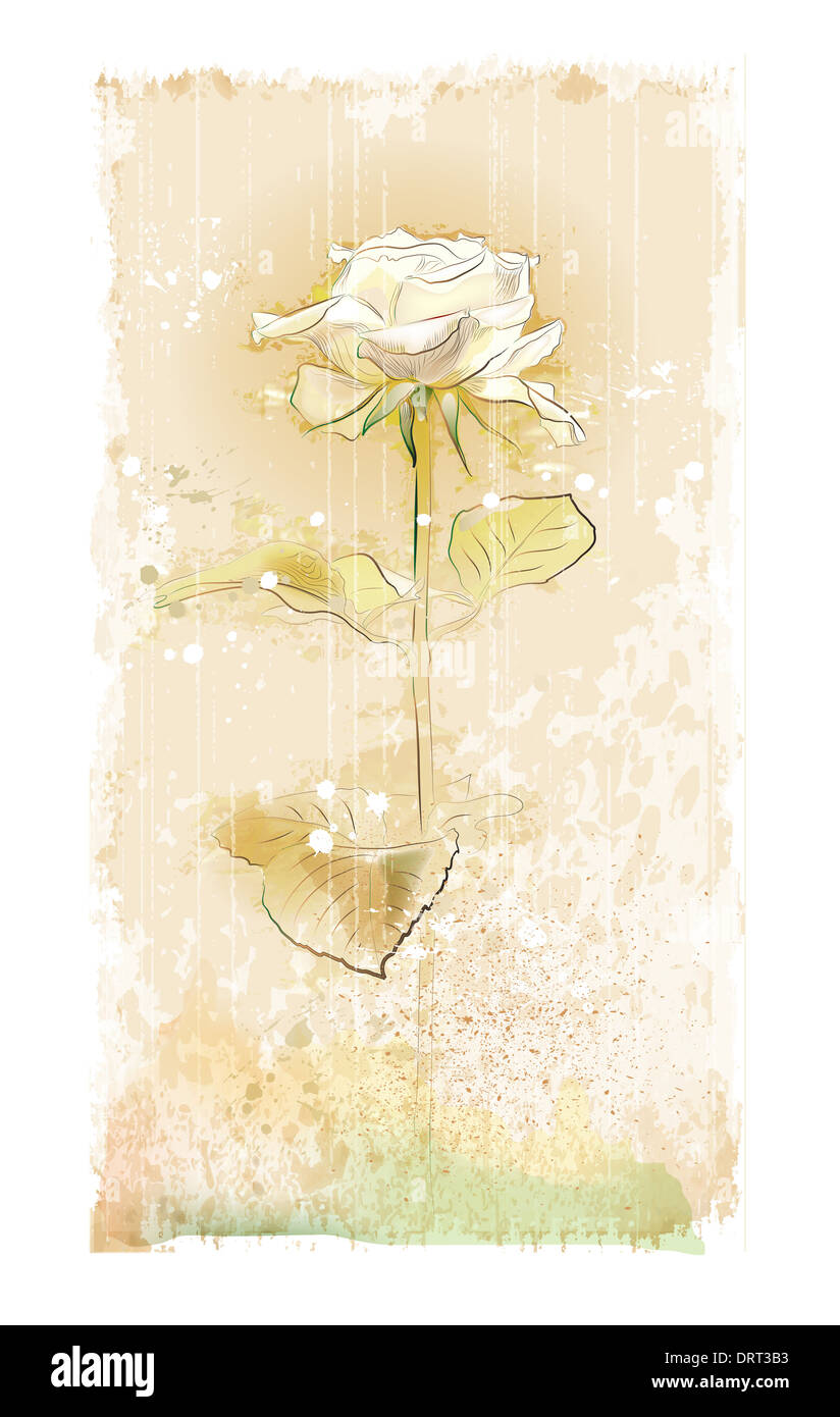 Vintage freehand drawing card Cut Out Stock Images & Pictures - Alamy