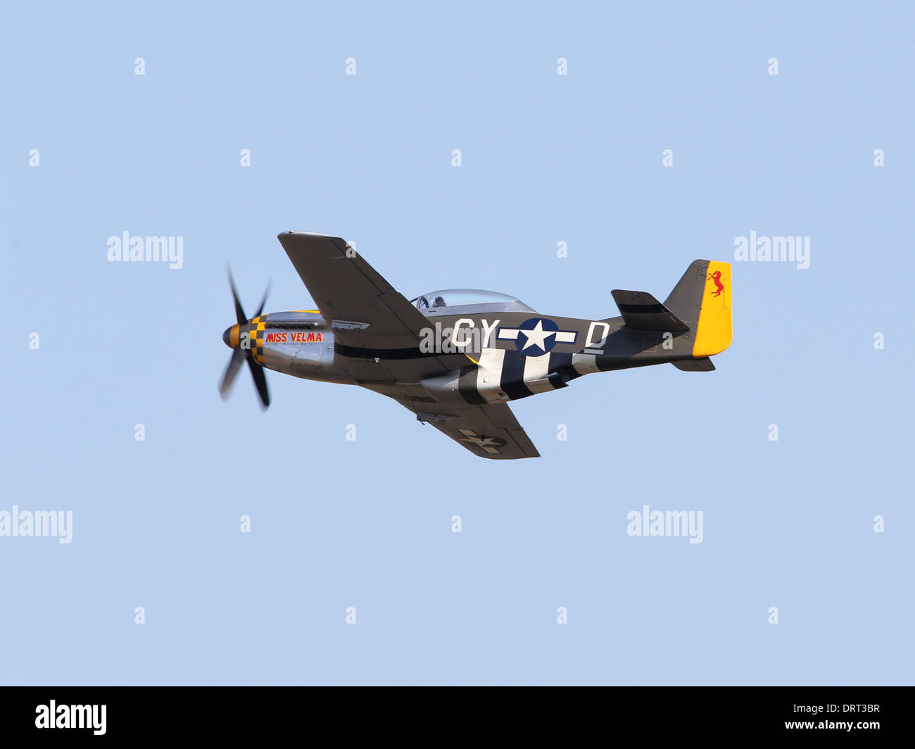 North American P-51D Mustang, N251RJ / CY-D / Miss Velma world war 2 ...
