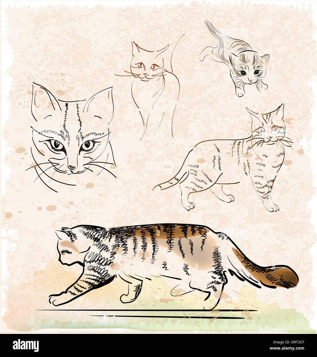 vintage set of outline cats Stock Photo - Alamy