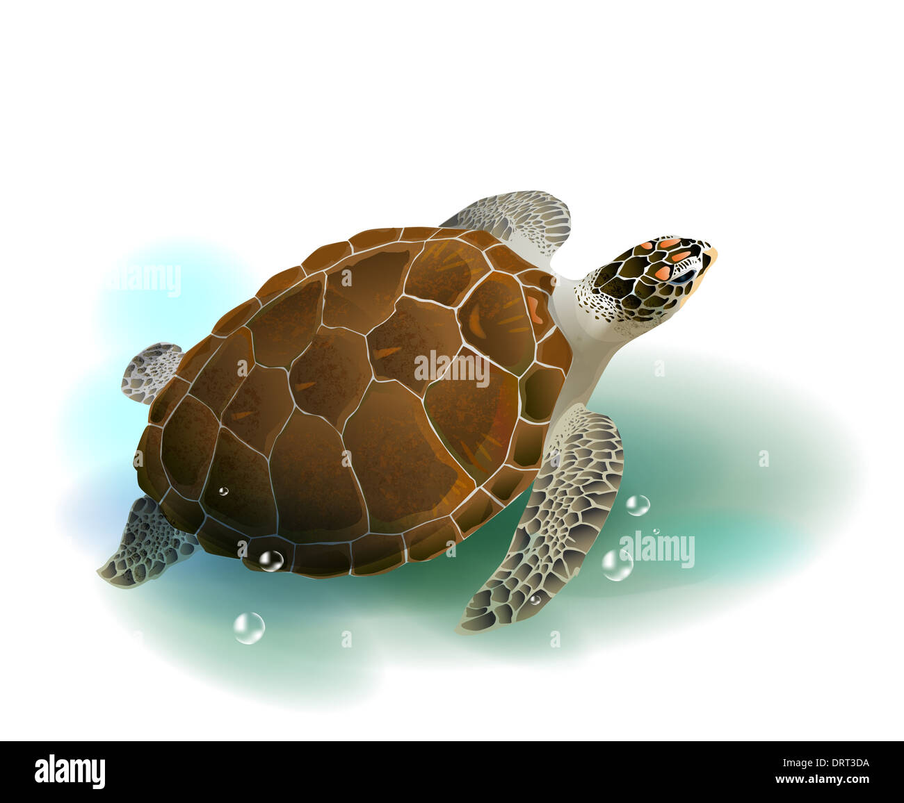 Aquatic voyage Cut Out Stock Images & Pictures - Alamy